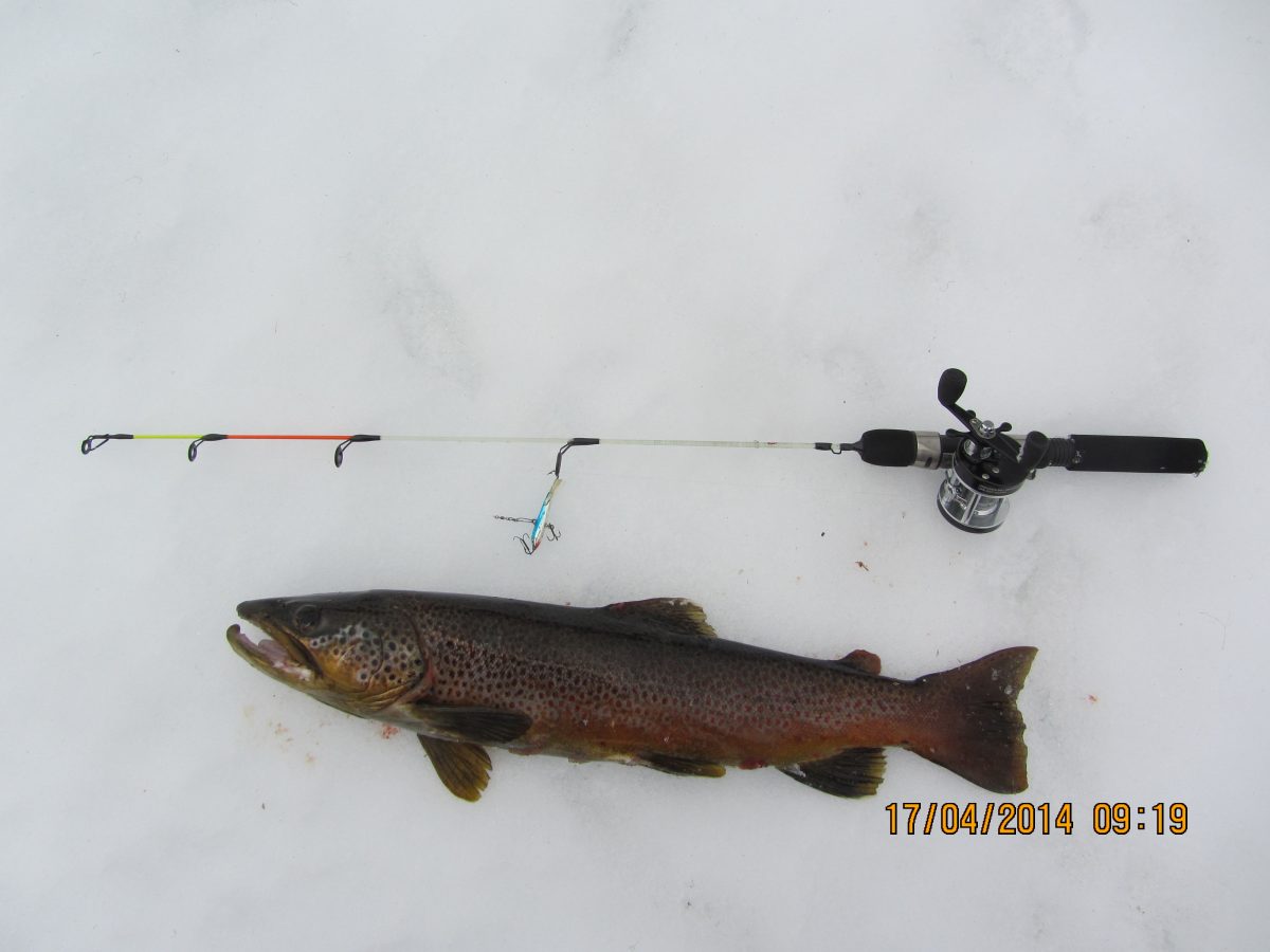 Ispilkesett-IS-51H, 2 delt, lengde 4` - Abru Fiskeutstyr